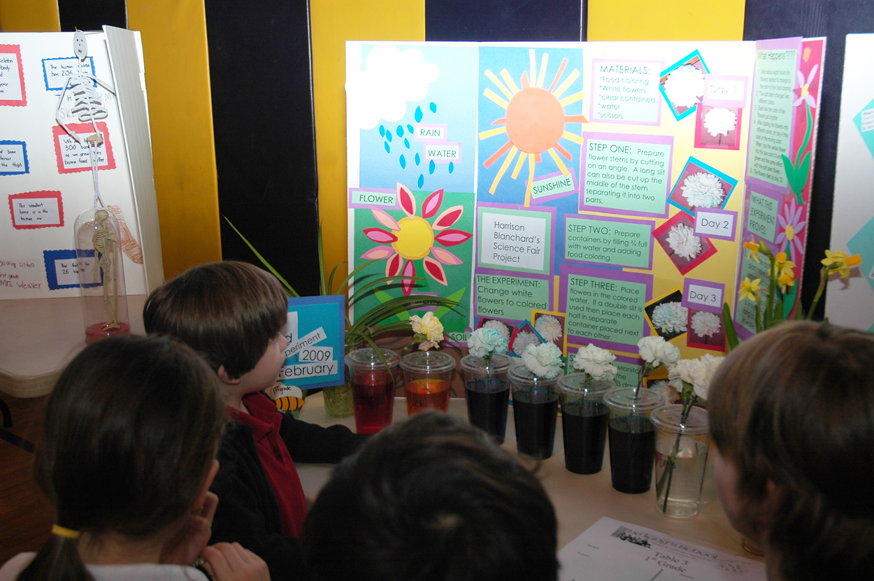 K-12 Science Fair - The King's School